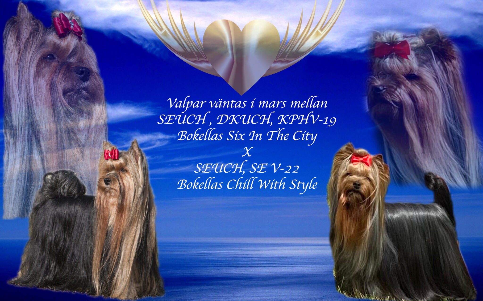 Valpar-arkiv - Kennel Hotpots